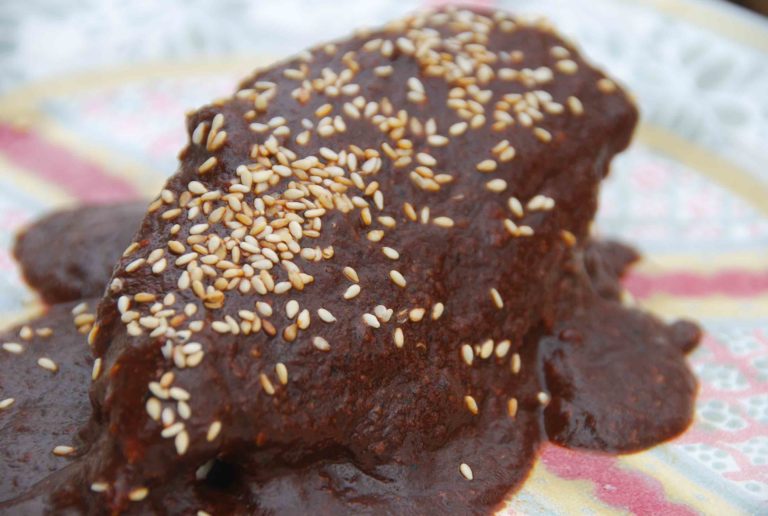 Mole de flor de jamaica y nuez - Pati Jinich en Español