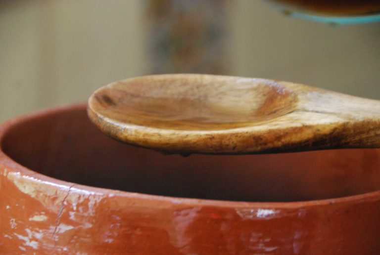 Me Encanta el Tepache - Pati Jinich en Español