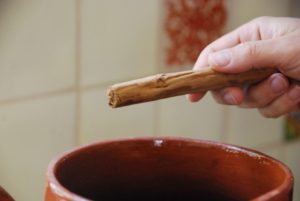 Me Encanta el Tepache - Pati Jinich en Español