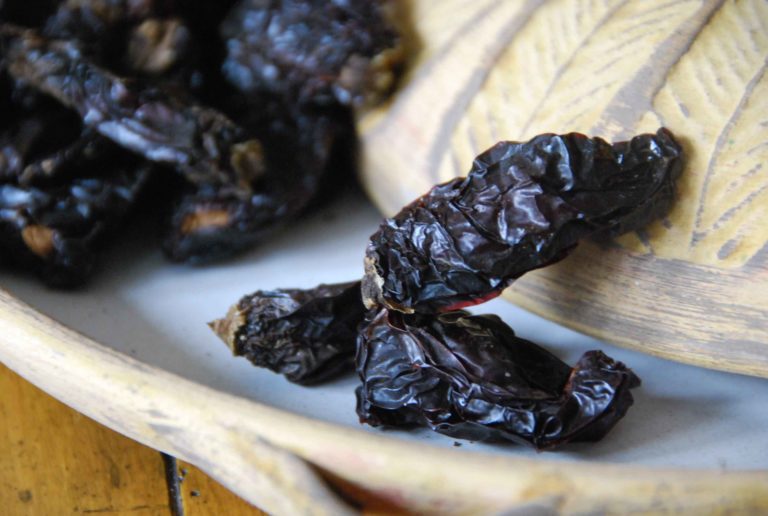 Tú los pediste: chiles chipotle en salsa de adobo - Pati Jinich en Español