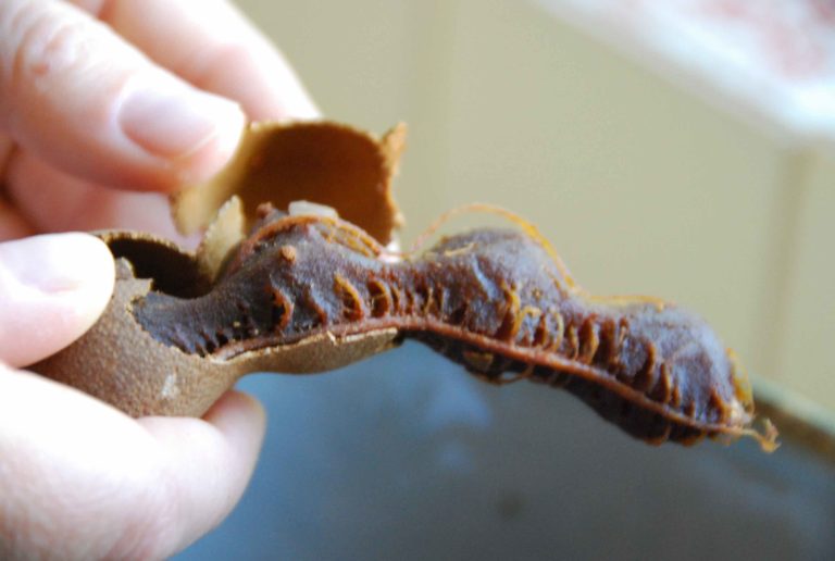 Tamarind Concentrate: Basic Recipe - Pati Jinich