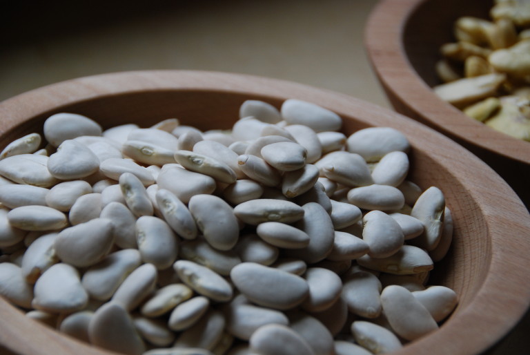 Fava Beans - Pati Jinich