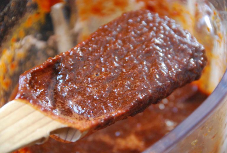 Lamb Barbacoa in Adobo - Pati Jinich