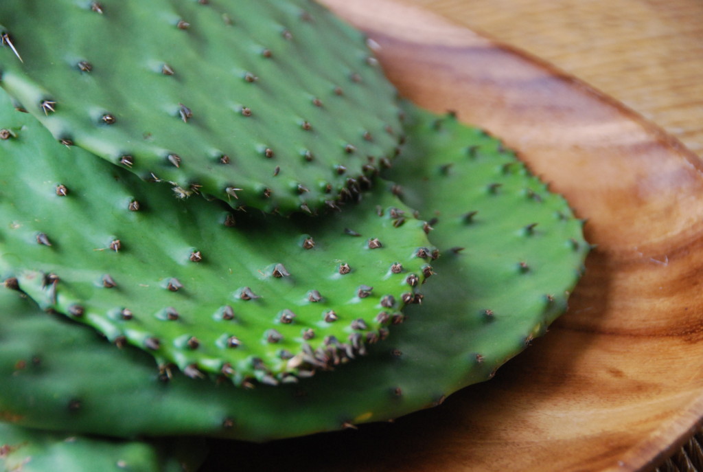 Cactus Paddles or Nopales - Pati Jinich