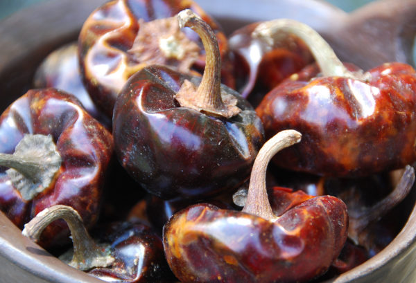 Cascabel Chile - Pati Jinich